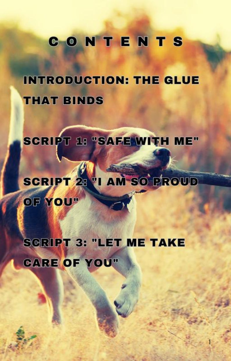 Compêndio de Afirmações Pós-Cena | Roteiros de Cuidados Pós-BDSM - Etsy ...