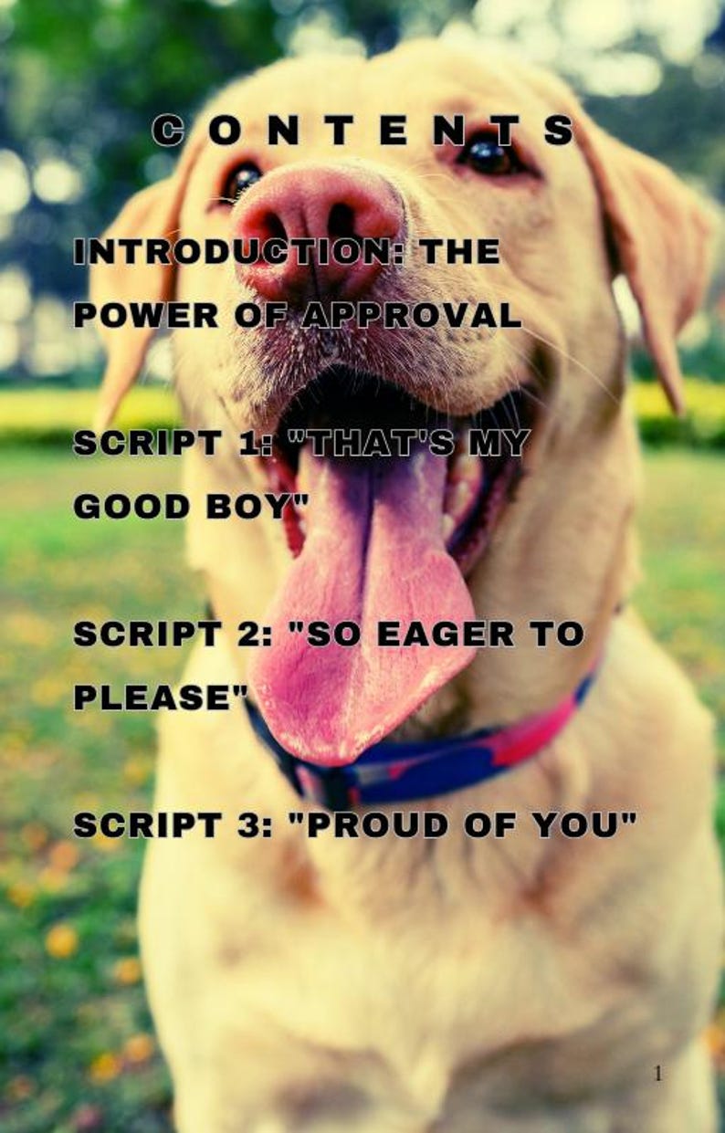 The Good Boy Compendium | Nurturing Praise Scripts - Etsy