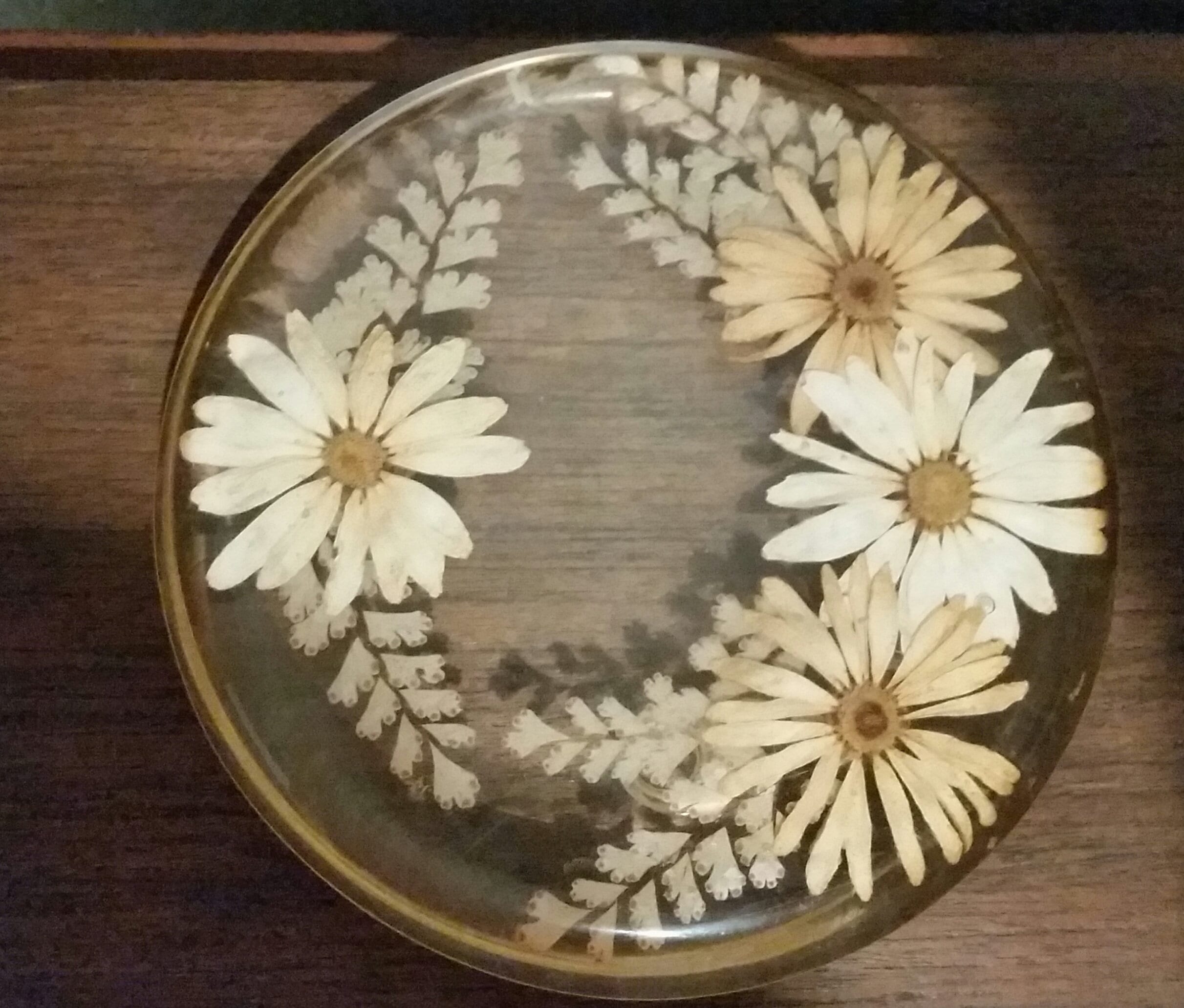 Vintage Lucite Acrylic Trivet With Inlaid Daisy & Fern - Etsy