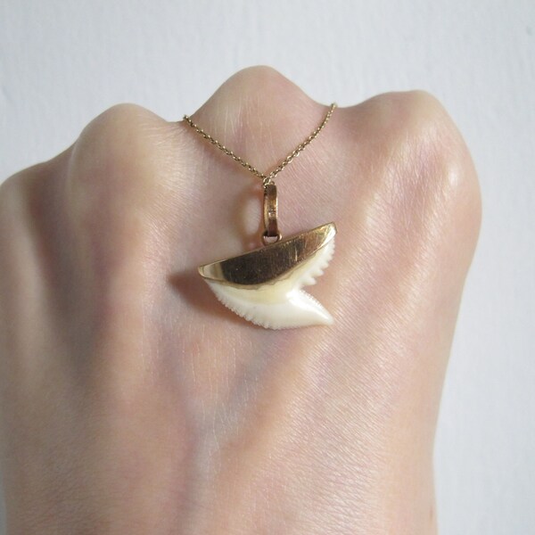 Yellow Gold Shark Tooth Pendant - Etsy