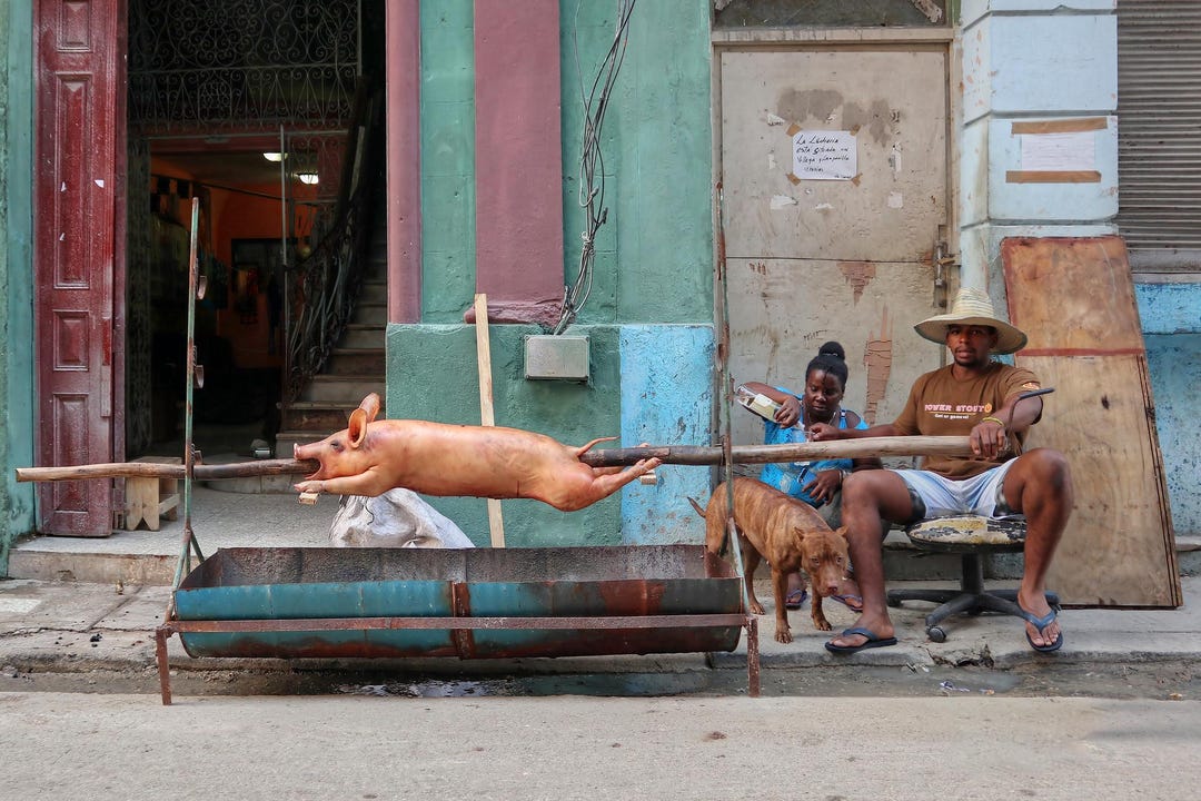 Cuban Pig Roast ,havana Street Photography - Digital File - Etsy