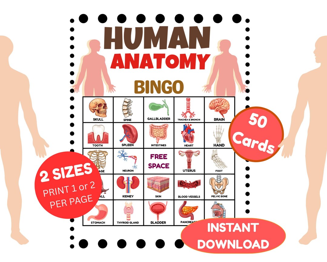 Human Anatomy Bingo Game – 50 Cards, Science Learning (PDF Download) - Etsy