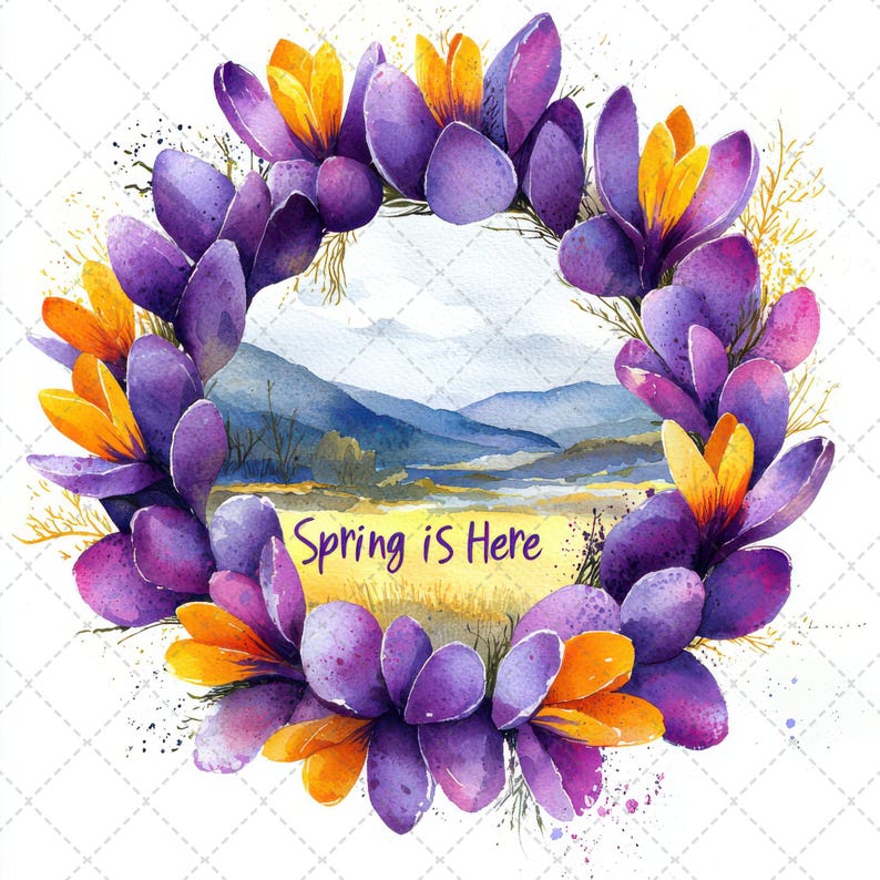 Ilustração de Crocus em Aquarela em JPEG, Ilustração de Crocus Roxo ...