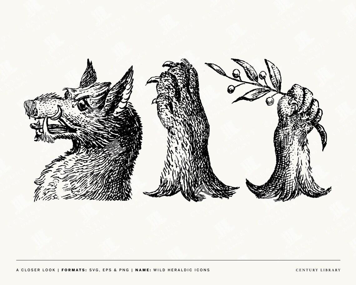 Hand Drawn Heraldry Animal Illustrations - Various Birds, Eagles, Wild ...