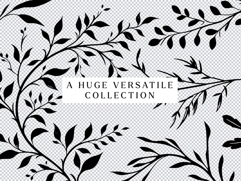 Botanical Line Art Bundle: 230 Floral SVG & PNG Illustrations (digital ...