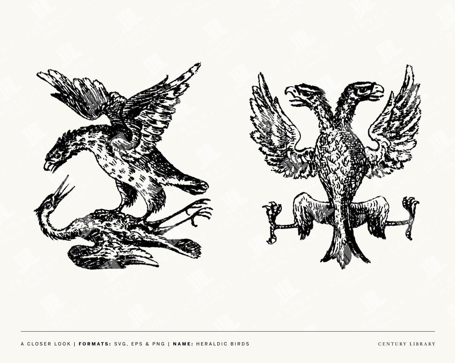 Hand Drawn Heraldry Animal Illustrations - Various Birds, Eagles, Wild ...