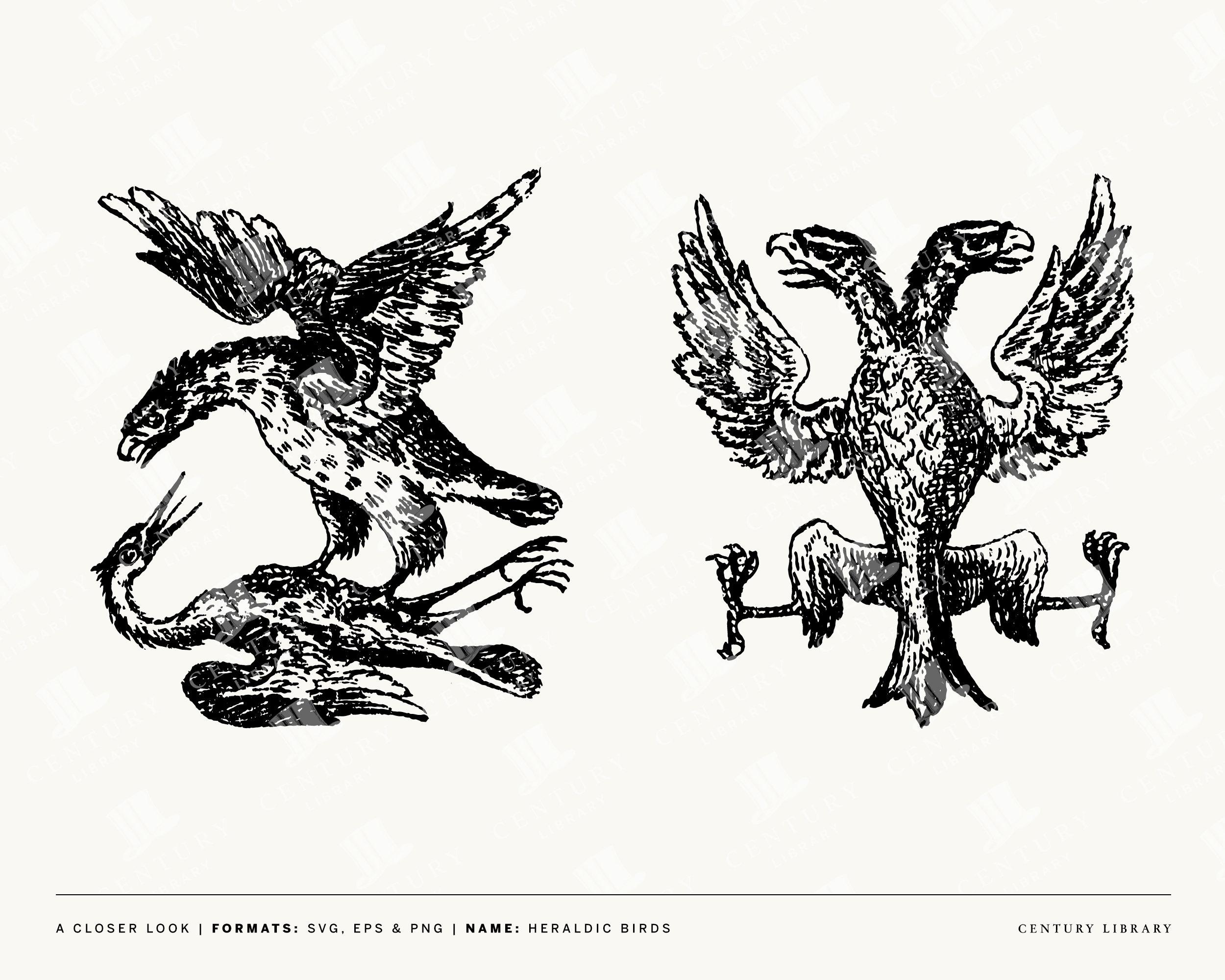 Hand Drawn Heraldry Animal Illustrations - Various Birds, Eagles, Wild ...