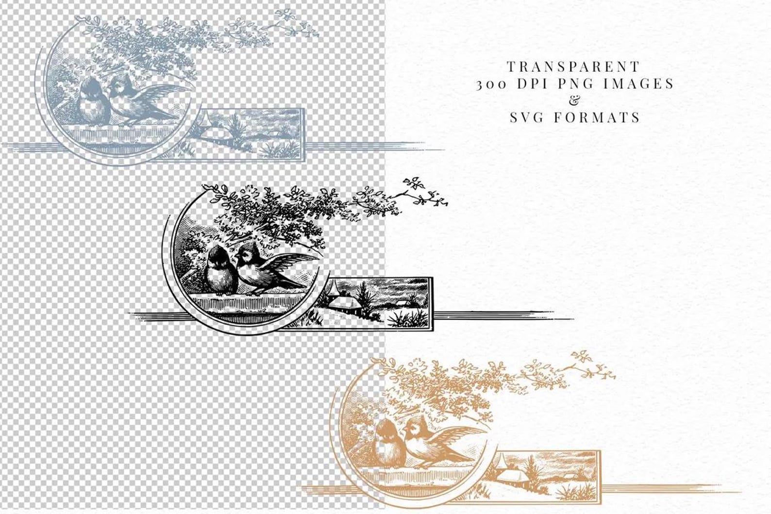 Vintage Borders and Scenic Frames, Restored Engravings, PNG and SVG ...