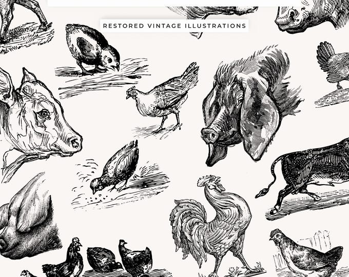 20 Vintage Farm Animals Clipart Pack INSTANT DOWNLOAD 20 Farm ...