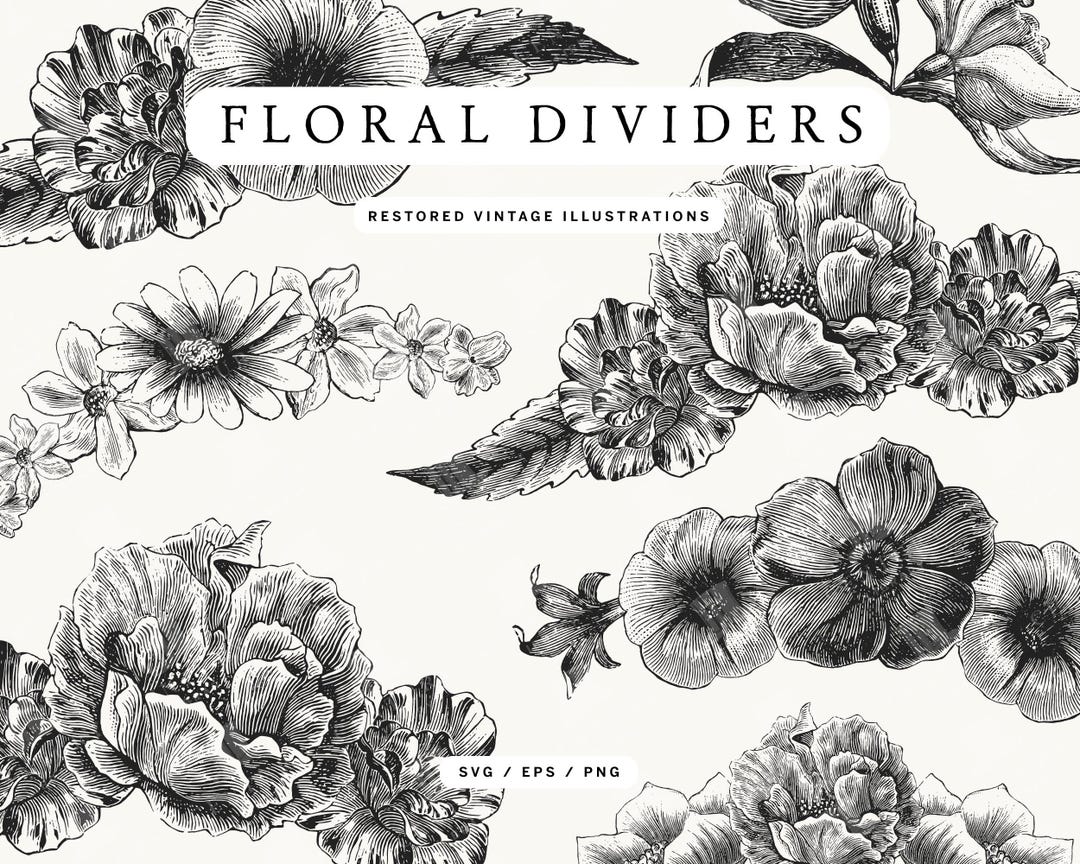 Set of Floral Divider Illustrations in PNG, SVG, and EPS Formats - Etsy