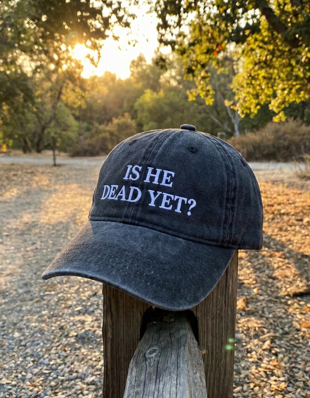 Anti Trump Hat, is He Dead Yet, Embroidered Funny Political Cap ...