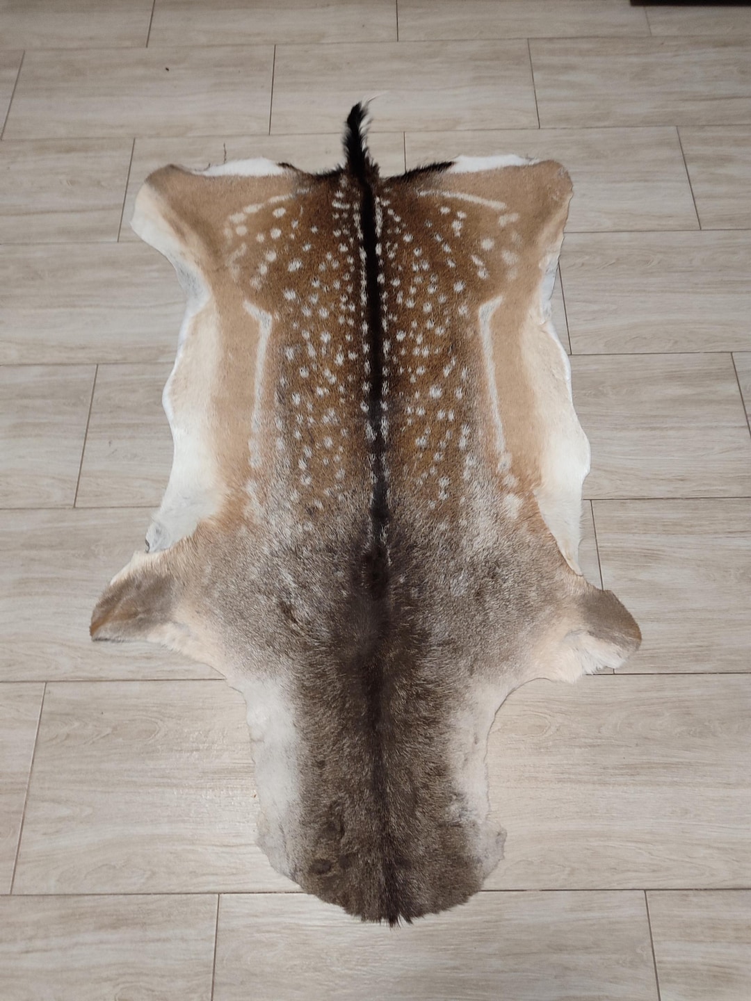 Wild Highland Fallow Deer Pelt Skin Hide Fur Quality Lot Luxury Area ...