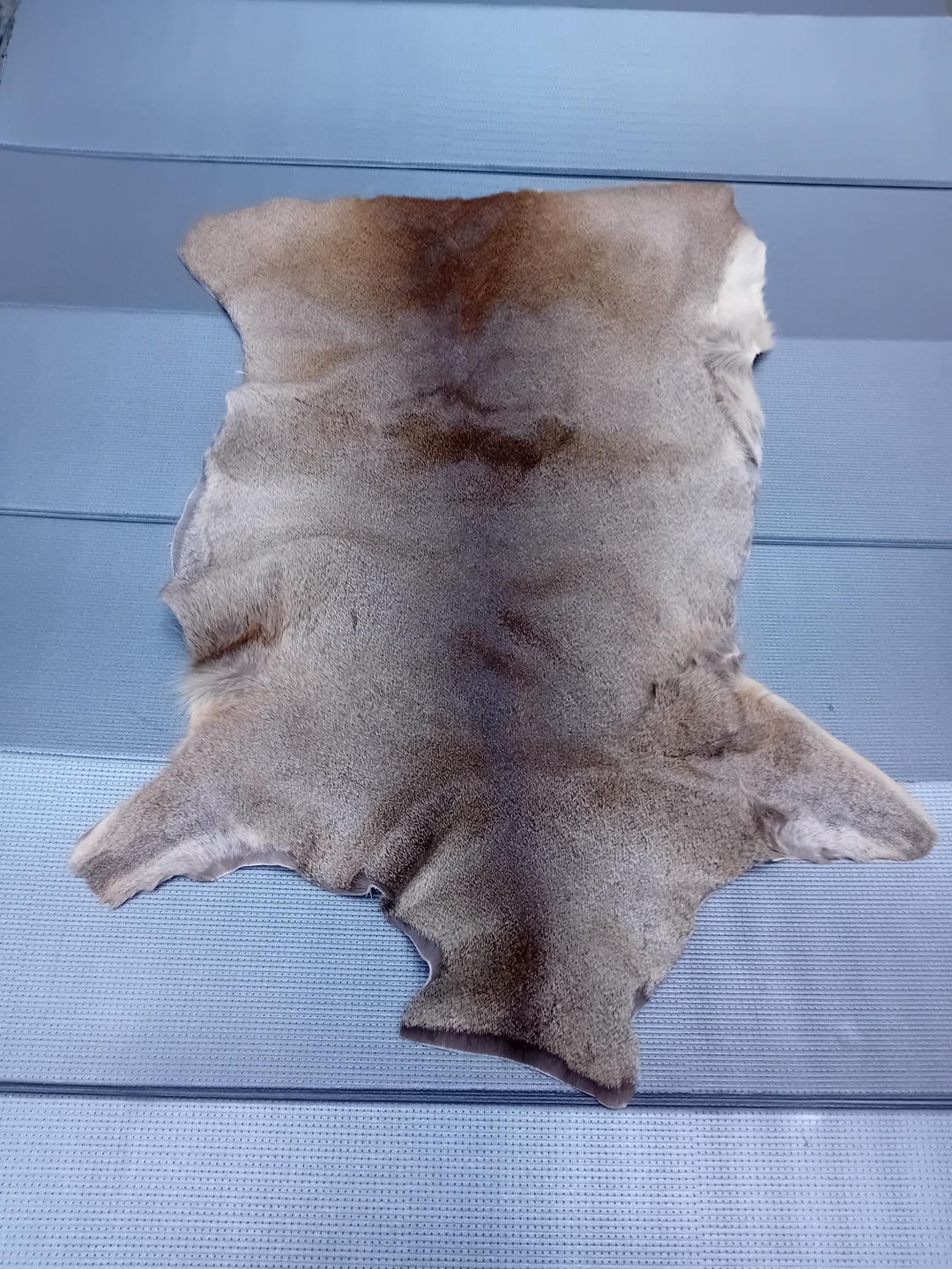Roe Deer Roebuck Deer Pelt Skin Hide Fur Area Rug Carpet Home Decor ...