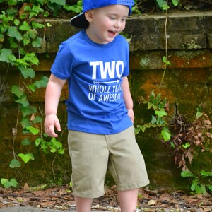 TWO Whole Years of Awesome - 2nd Birthday Shirt Boy - Front and Back ...