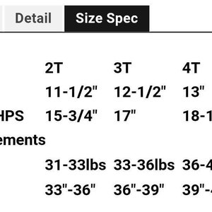 TWO Whole Years of Awesome - 2nd Birthday Shirt Boy - Front and Back ...