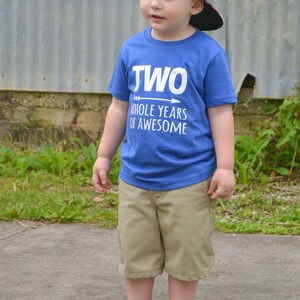 TWO Whole Years of Awesome - 2nd Birthday Shirt Boy - Front and Back ...