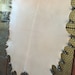 White Natural Goatskin Parchment - Vellum - Real Parchment - Goatskin ...