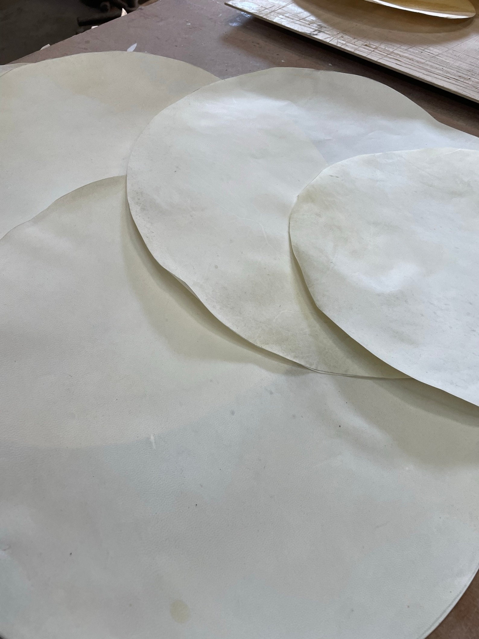 Goatskin Rawhide Drum Heads – Natural Unbleached Vellum Rounds for ...