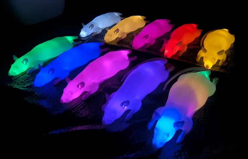 The Original Rat Light - NEW Deluxe Glow-in-the-dark Available! - Etsy