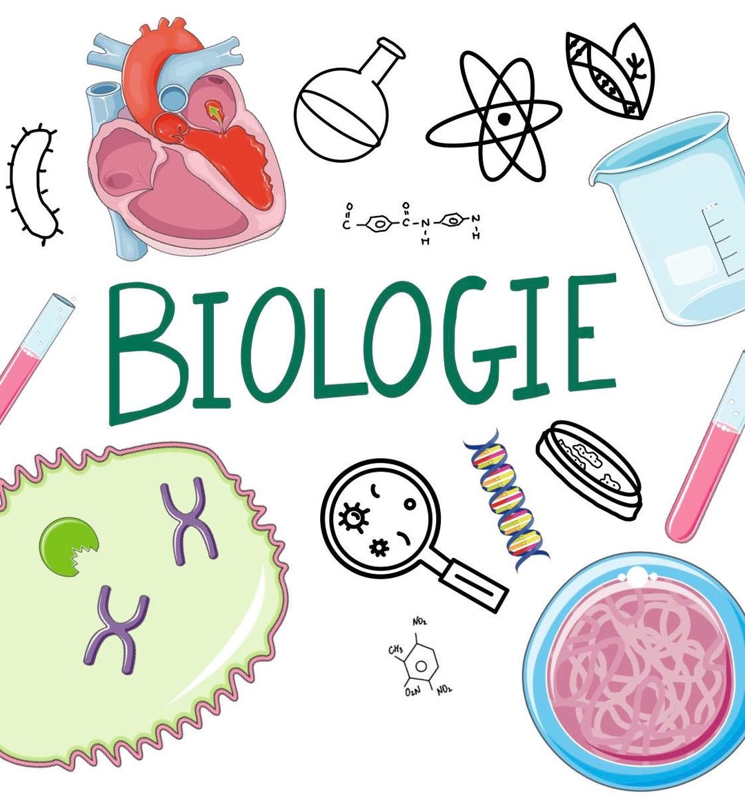 Life and Earth Sciences Lesson 5th Grade - the Needs of Organs - Etsy