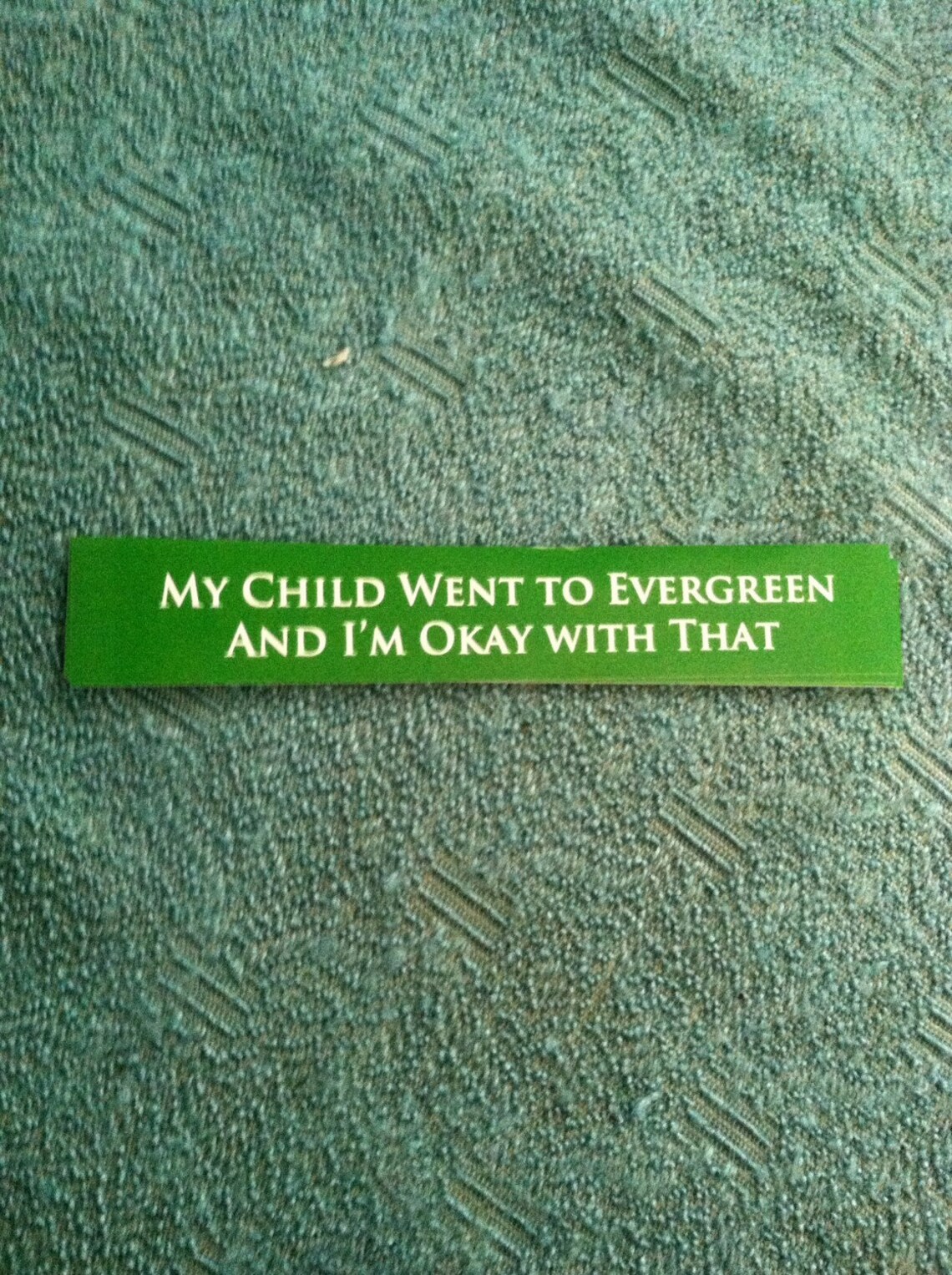 Evergreen State Sticker - Etsy