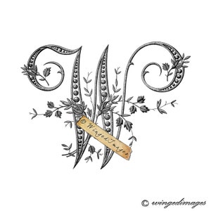 Antique French Monogram Letter W Instant Download Digital Image No.243 ...