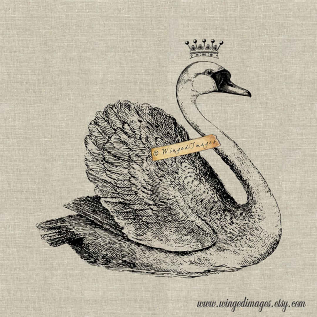 Royal Swan II. Instant Download Digital Image No.253 Iron-on Transfer ...