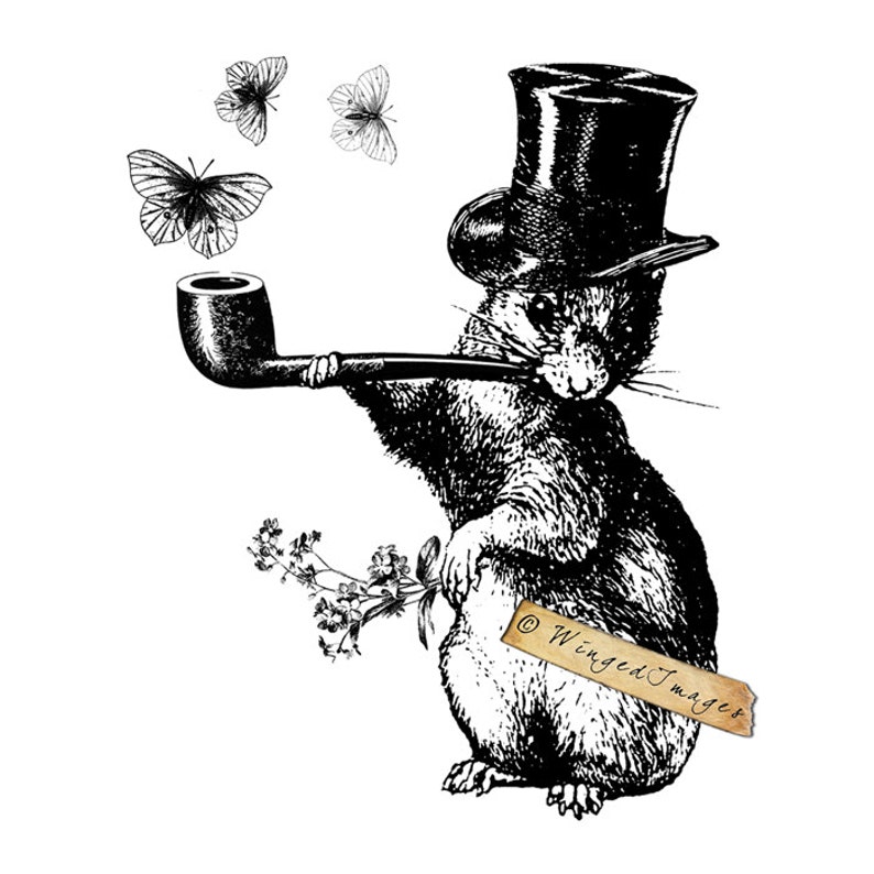 Mr.charming gopher Instant Download Digital Image No.42 Iron-on ...