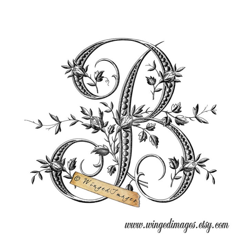 Antique French Monogram Letter B Instant Download Digital Image No.217 ...