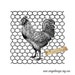 Rooster, Chicken Wire. Instant Download Digital Image No.316 Iron-on ...