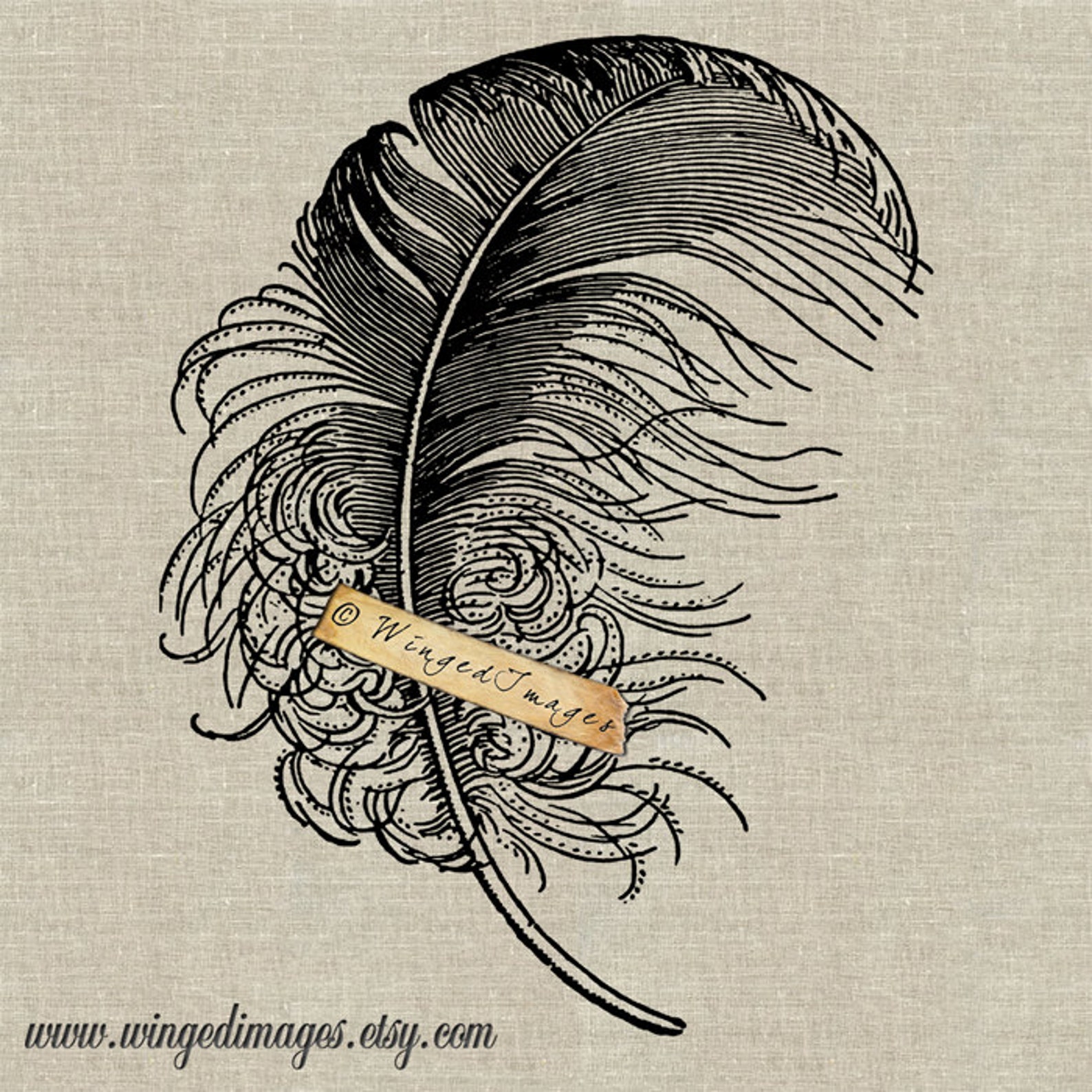 Feather Instant Download Digital Image No.94 Iron-on Transfer to Fabric ...