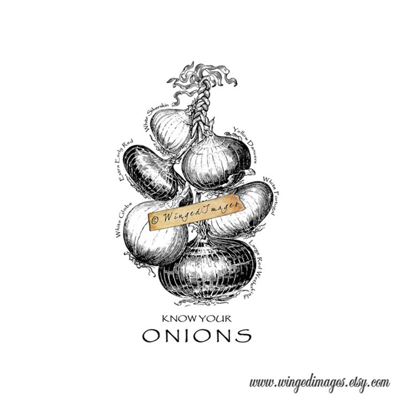 Know Your Onions. Instant Download Digital Image No.300 - Etsy