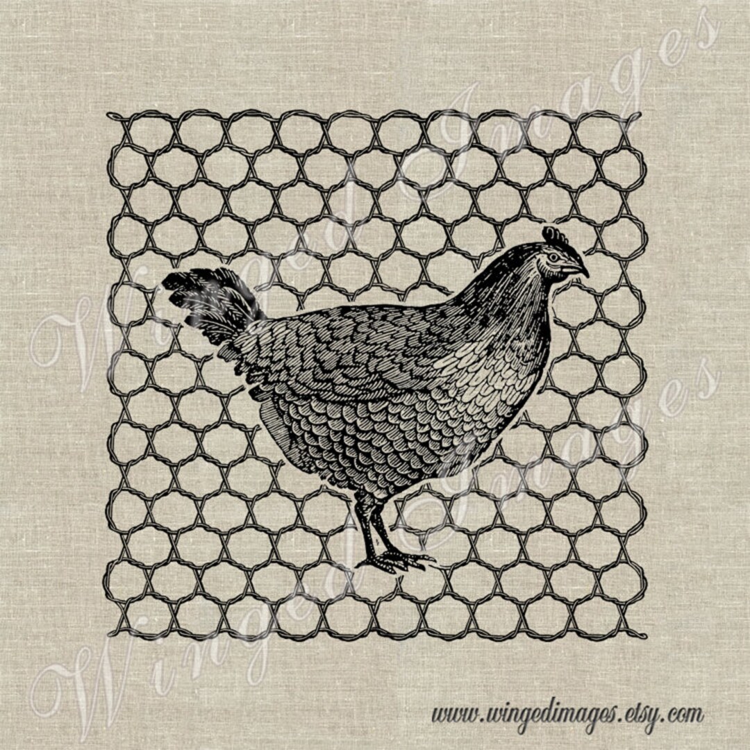 Hen, Chicken Wire. Instant Download Digital Image No.317 Iron-on ...