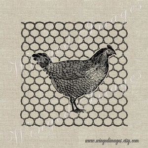 Hen, Chicken Wire. Instant Download Digital Image No.317 Iron-on ...