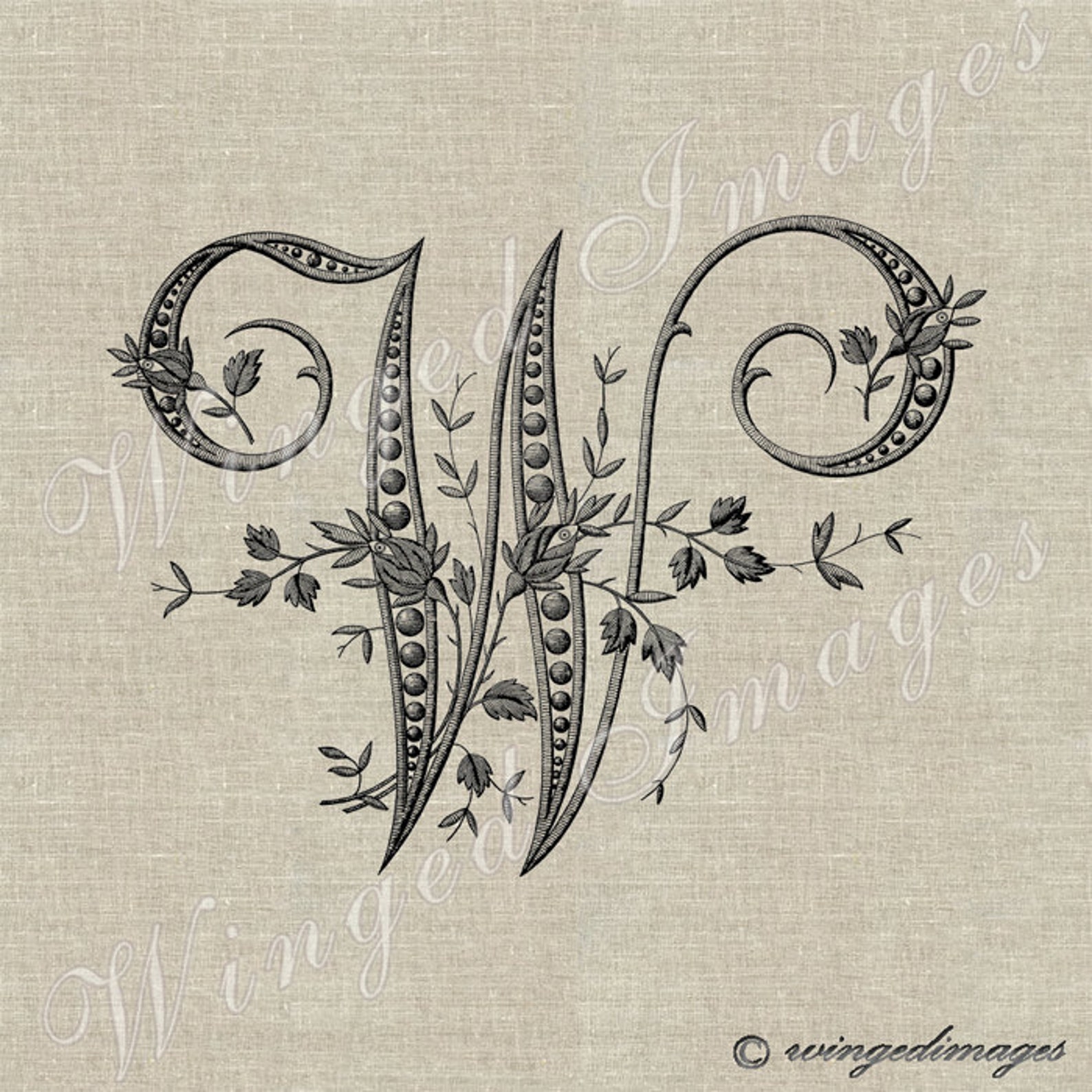 Antique French Monogram Letter W Instant Download Digital Image No.243 ...