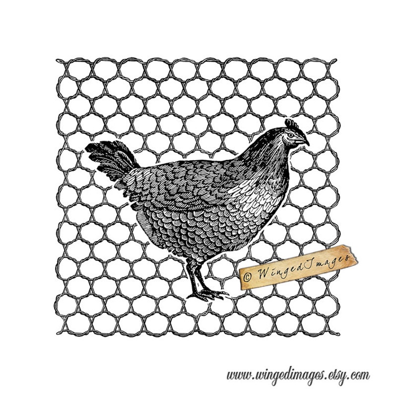 Hen Chicken Wire. Instant Download Digital Image No.317 - Etsy
