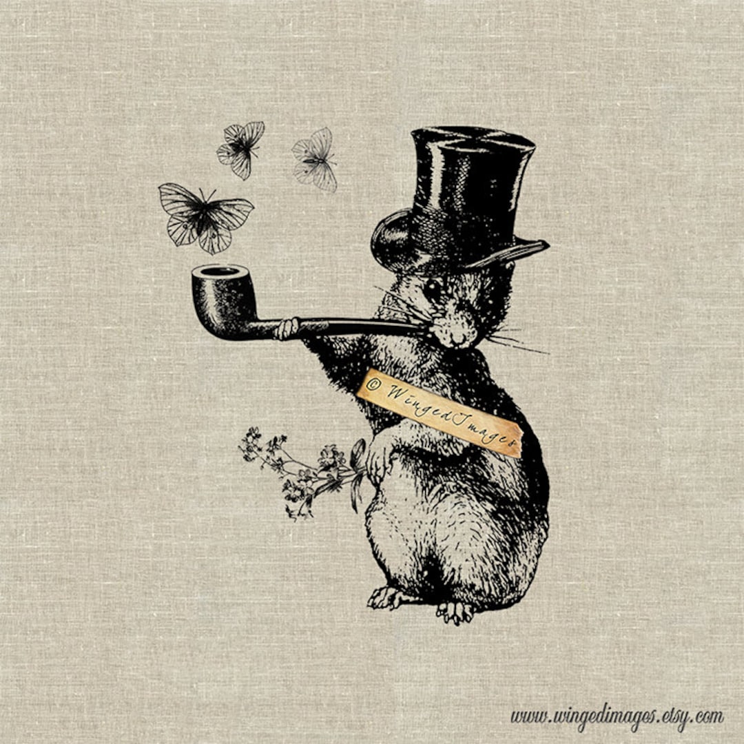 Mr.charming (gopher) Instant Download Digital Image No.42 Iron-on ...