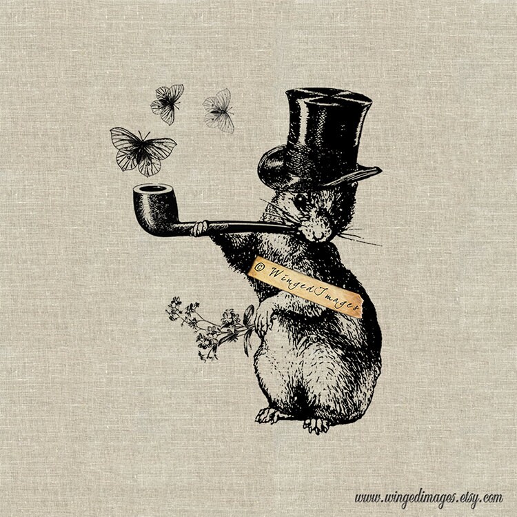 Mr.charming gopher Instant Download Digital Image No.42 Iron-on ...