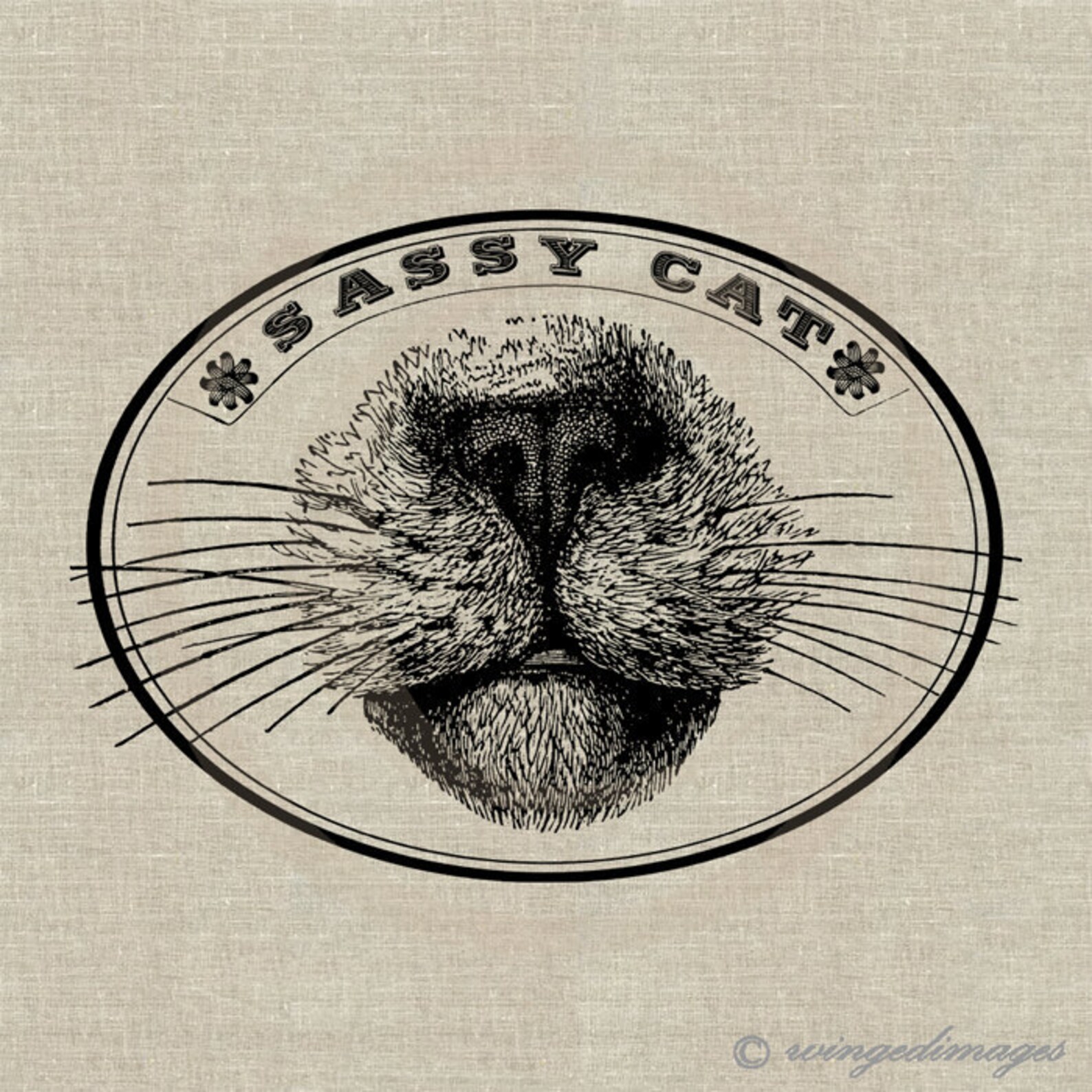 Sassy Cat. Instant Download Digital Image No.114 Iron-on Transfer to ...