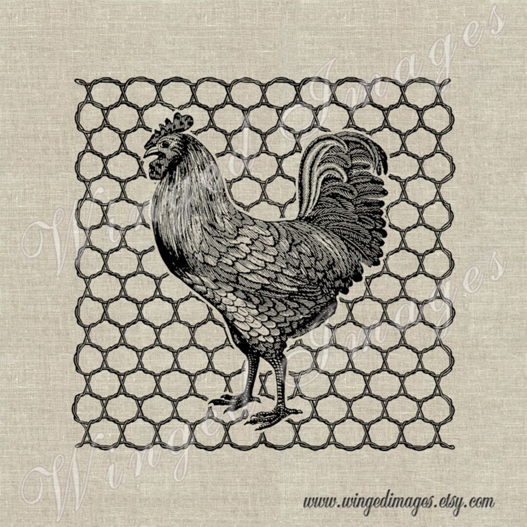 Rooster, Chicken Wire. Instant Download Digital Image No.316 Iron-on ...