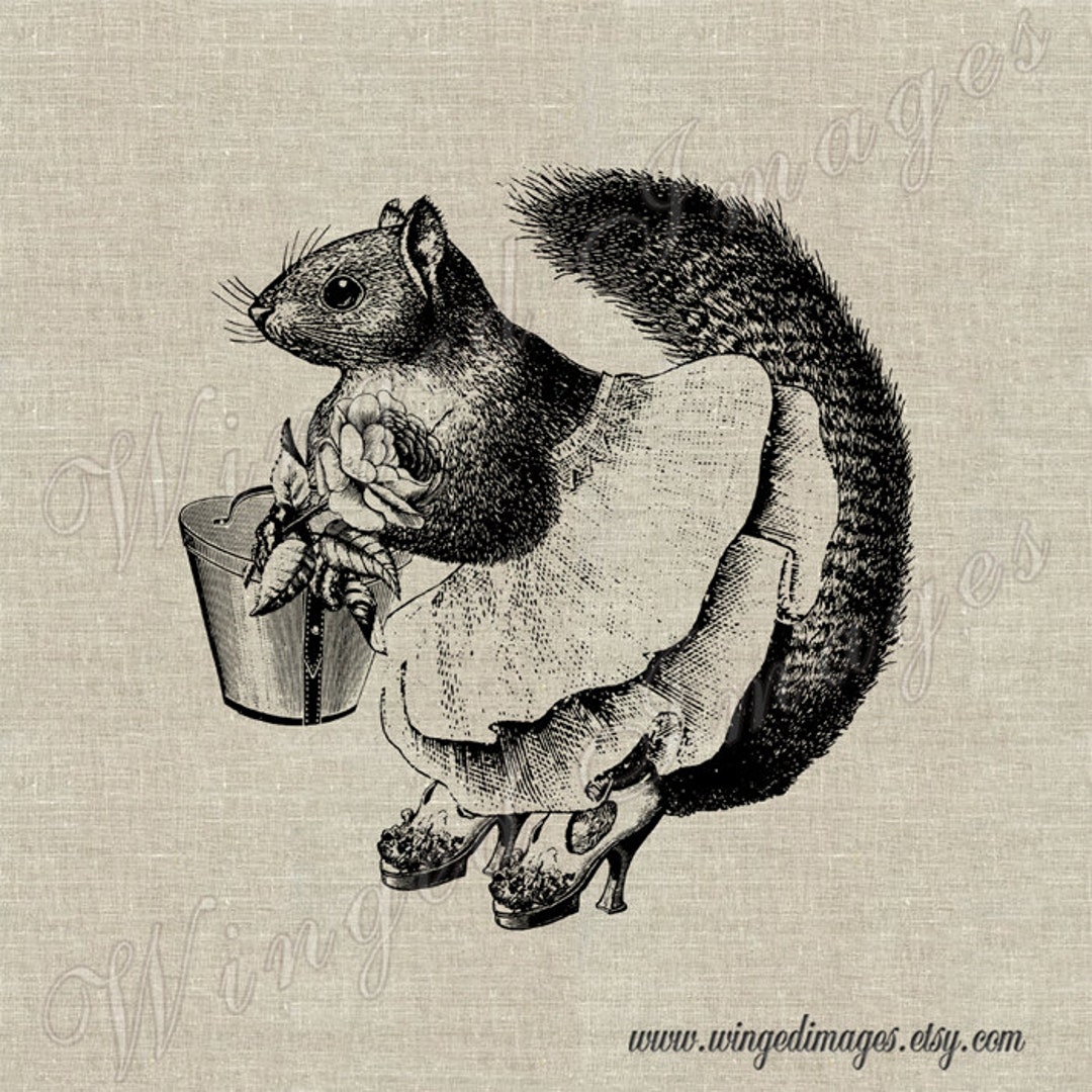 Squirrel Lady. Instant Download Digital Image No.304 Iron-on Transfer ...