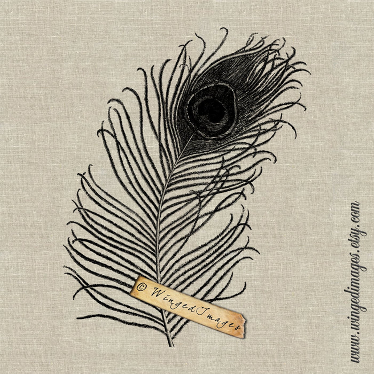 Peacock Feather Instant Download Digital Image No24 Iron On Transfer To Fabric Burlap Linen