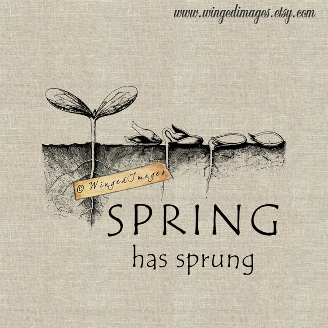 Spring Has Sprung. Instant Download Digital Image No.238 Iron-on ...