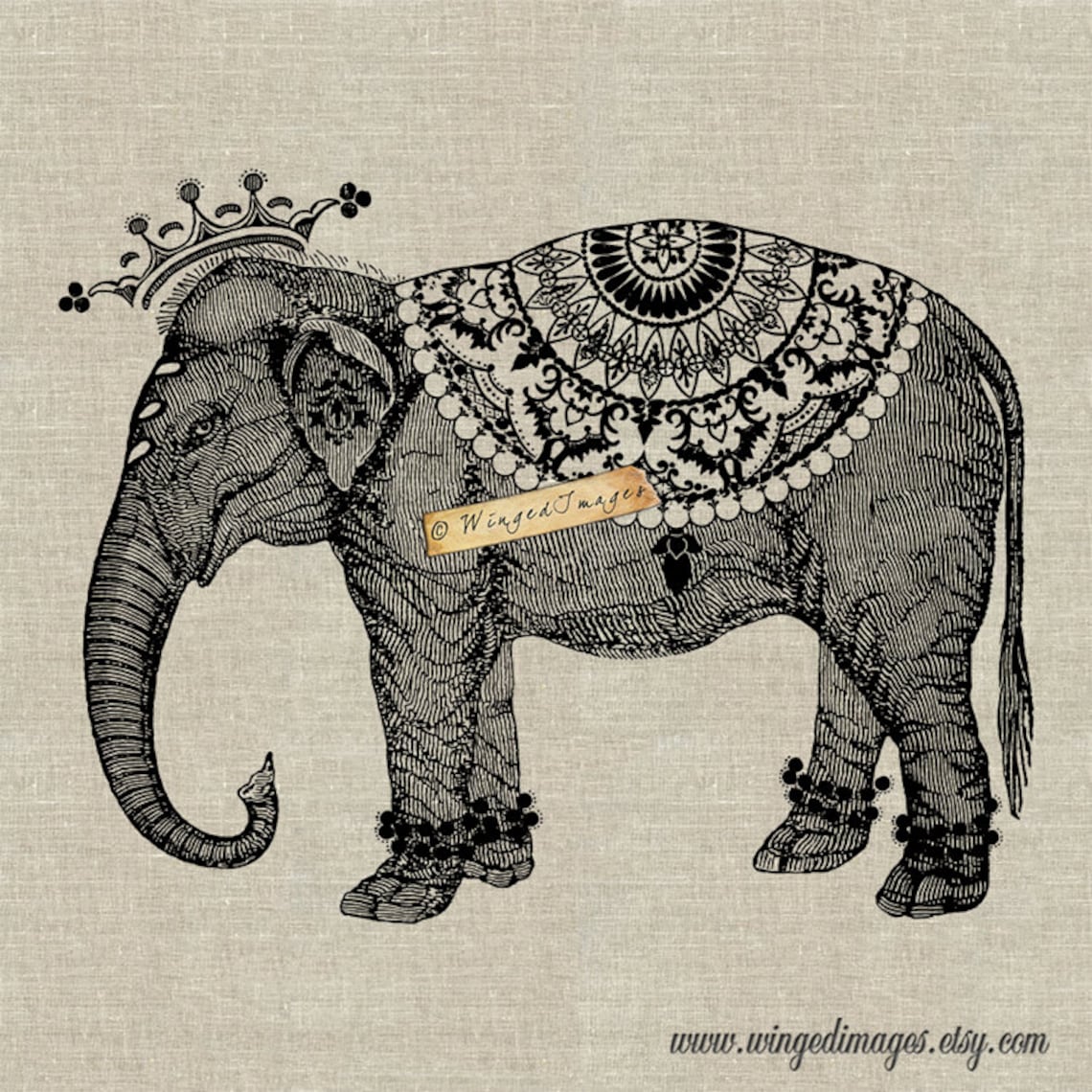 Indian Elephant. Instant Download Digital Image No.327 Iron-on Transfer ...