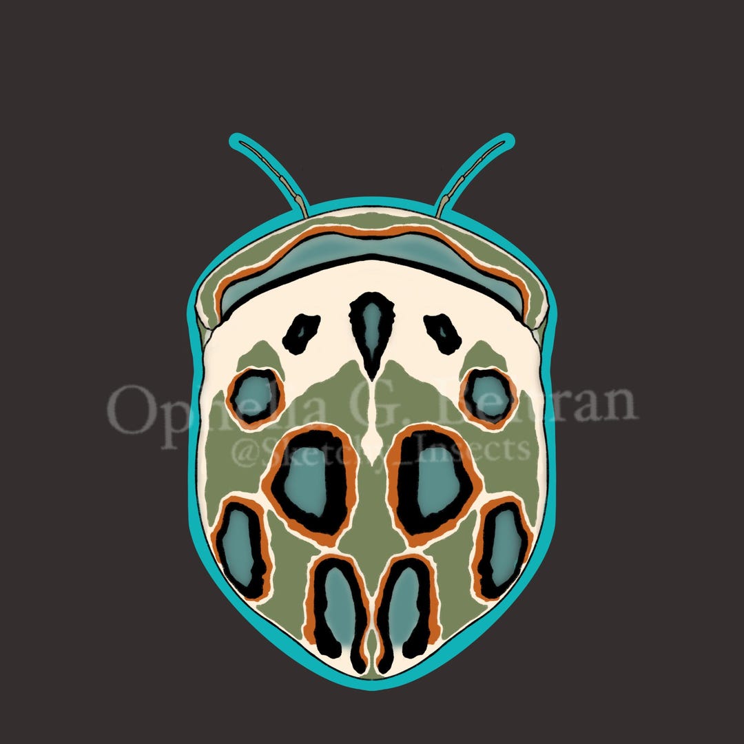 Picasso Bug Bordered PNG - Etsy