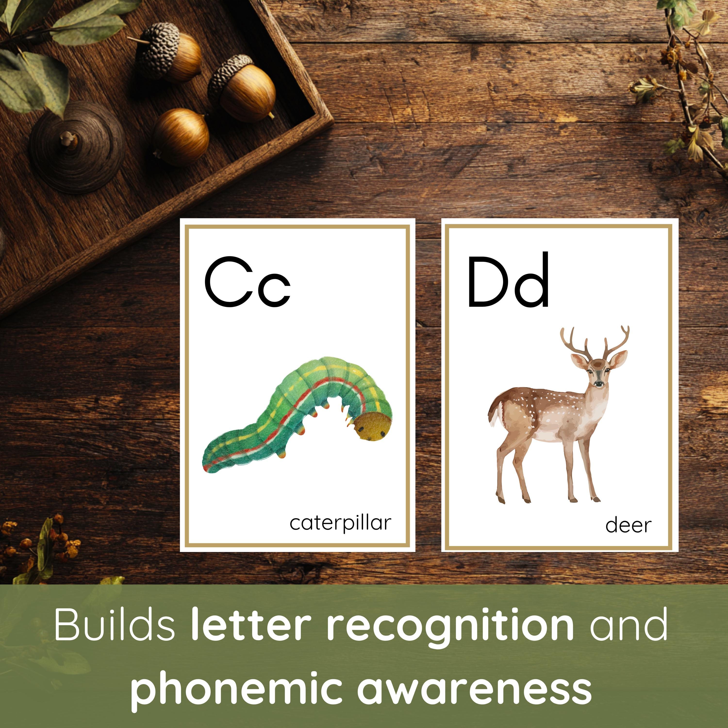 Nature Inspired Alphabet Posters Woodland ABC Wall Art Montessori ...