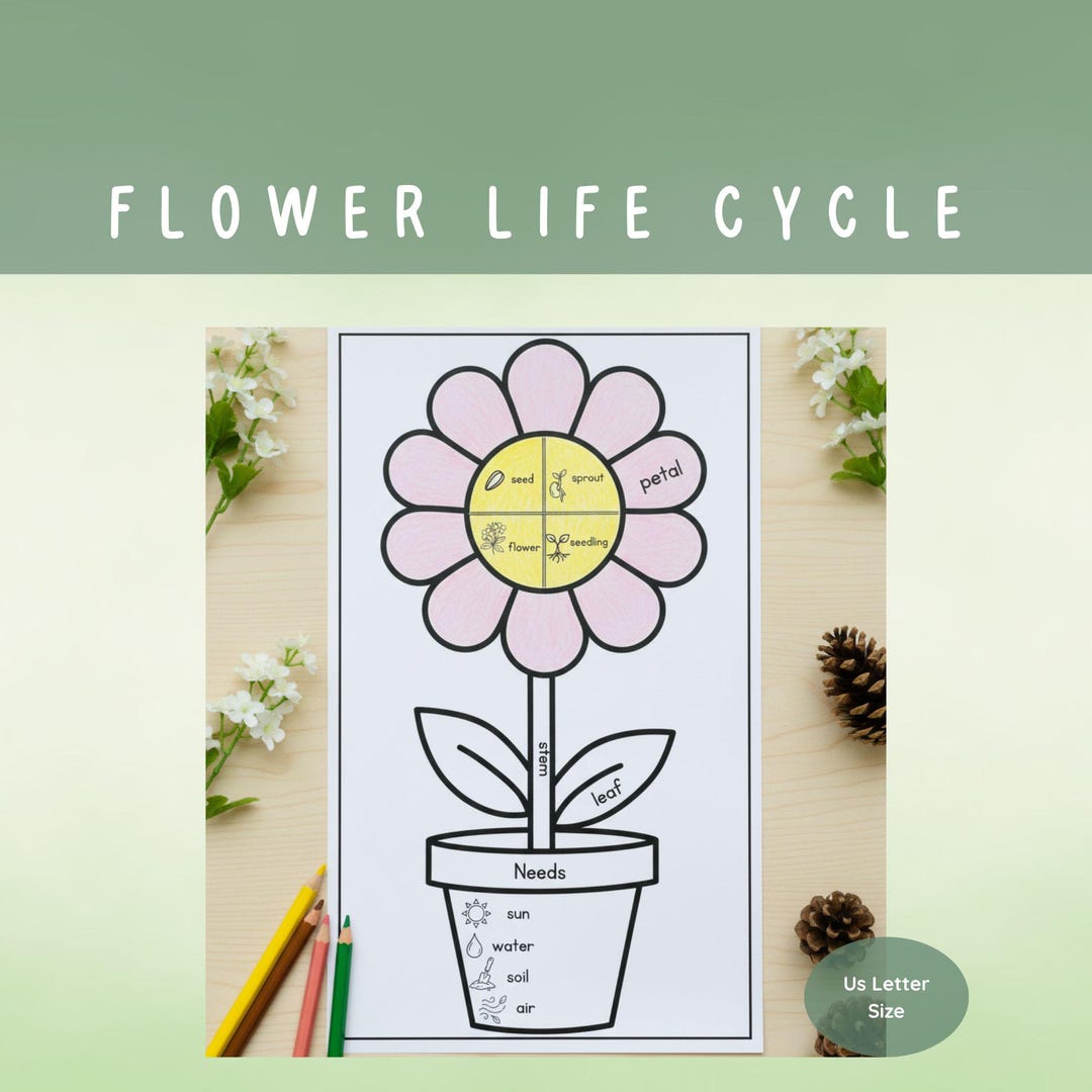 Plant Life Cycle Worksheet Printable Flower Unit Study Activity for ...