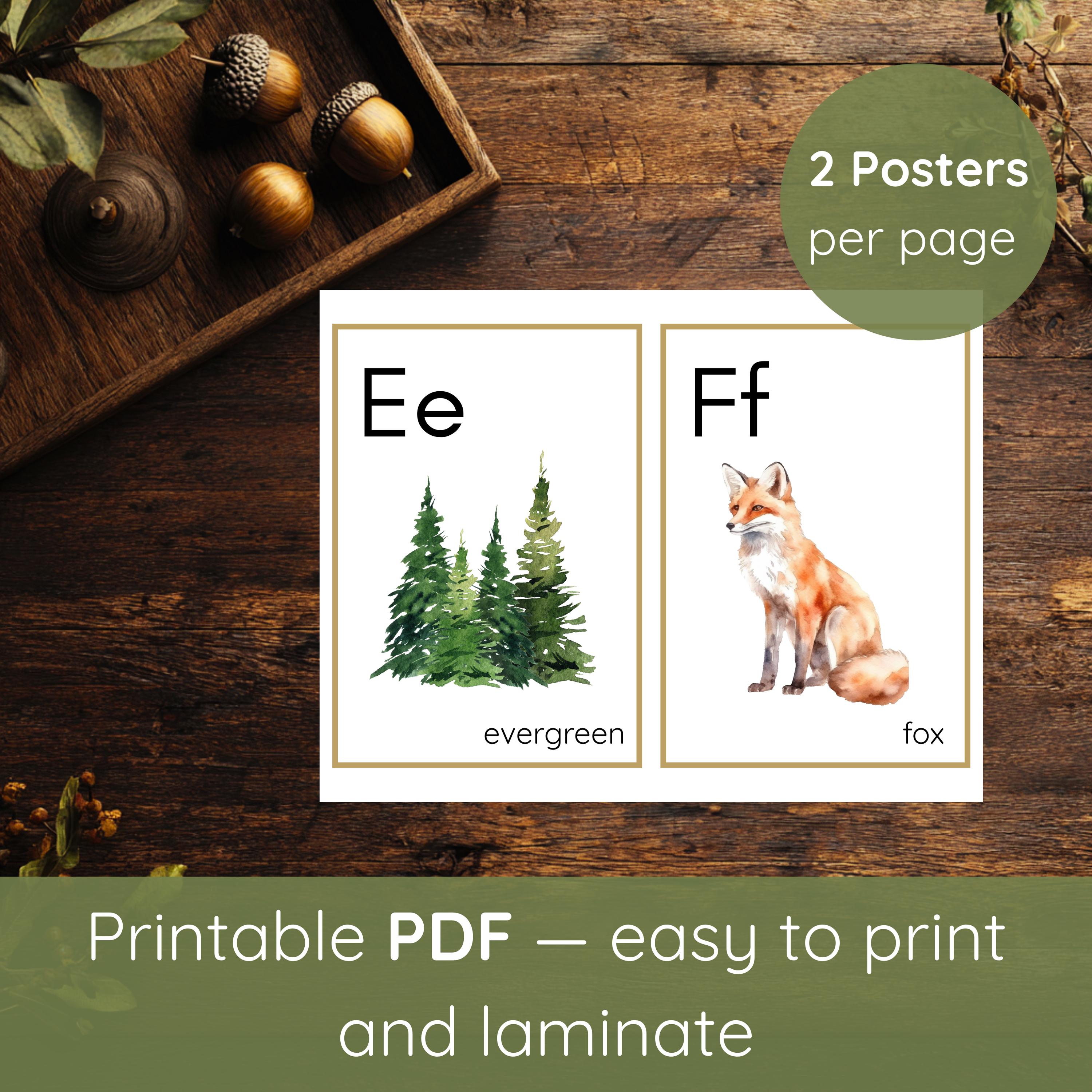 Nature Inspired Alphabet Posters Woodland ABC Wall Art Montessori ...