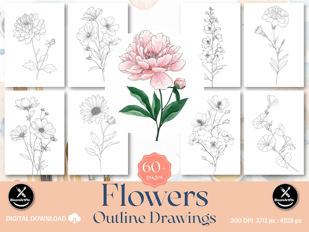 60+ Flower Outlines Adult Coloring Pages DIY Paint Art Kit Template ...