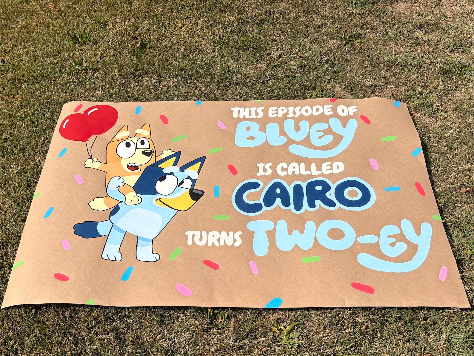 Hand-painted Custom Bluey Birthday Banner: Personalized Party Decor - Etsy